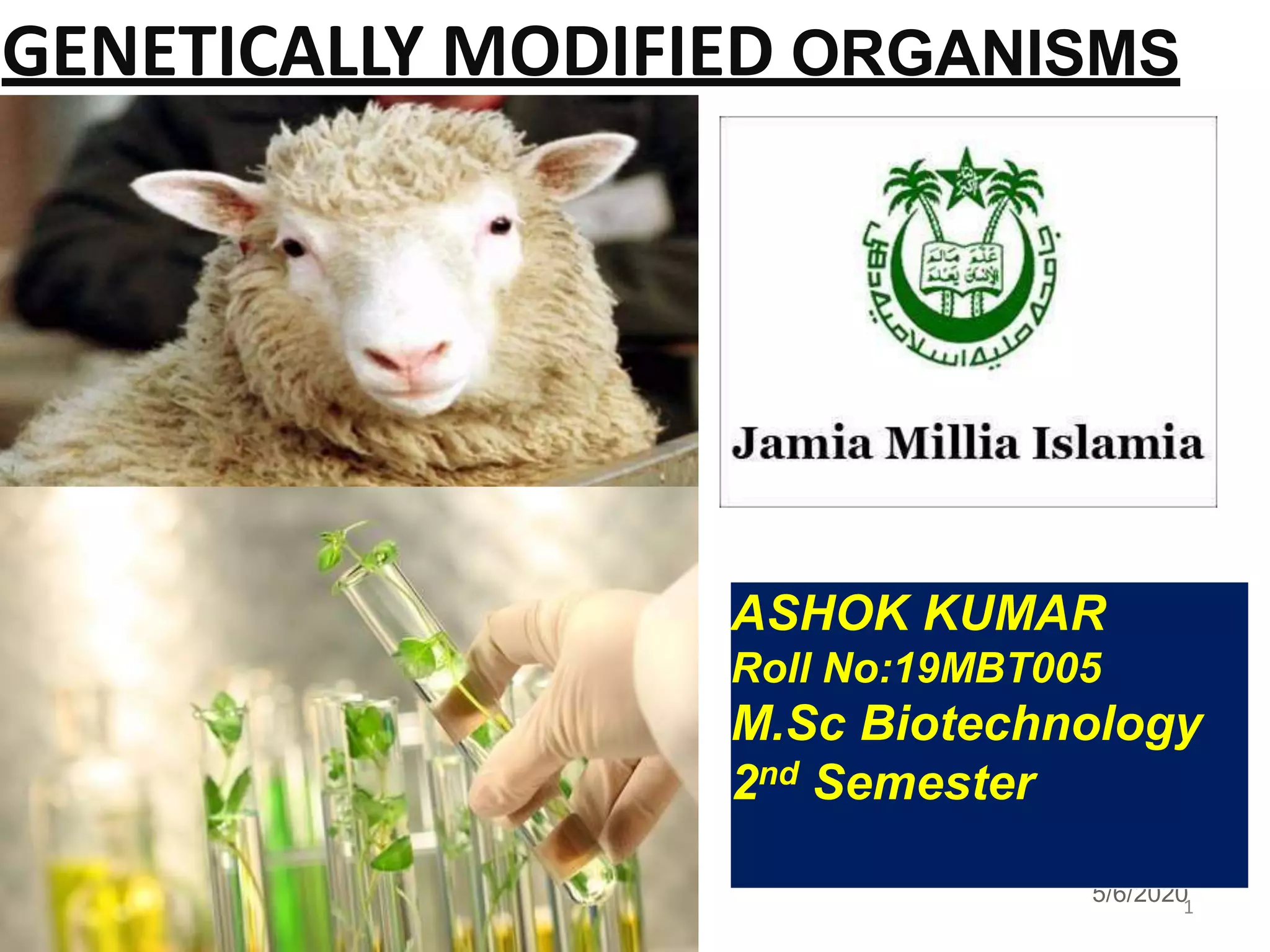 Genetically Modified Organisms | PPTX