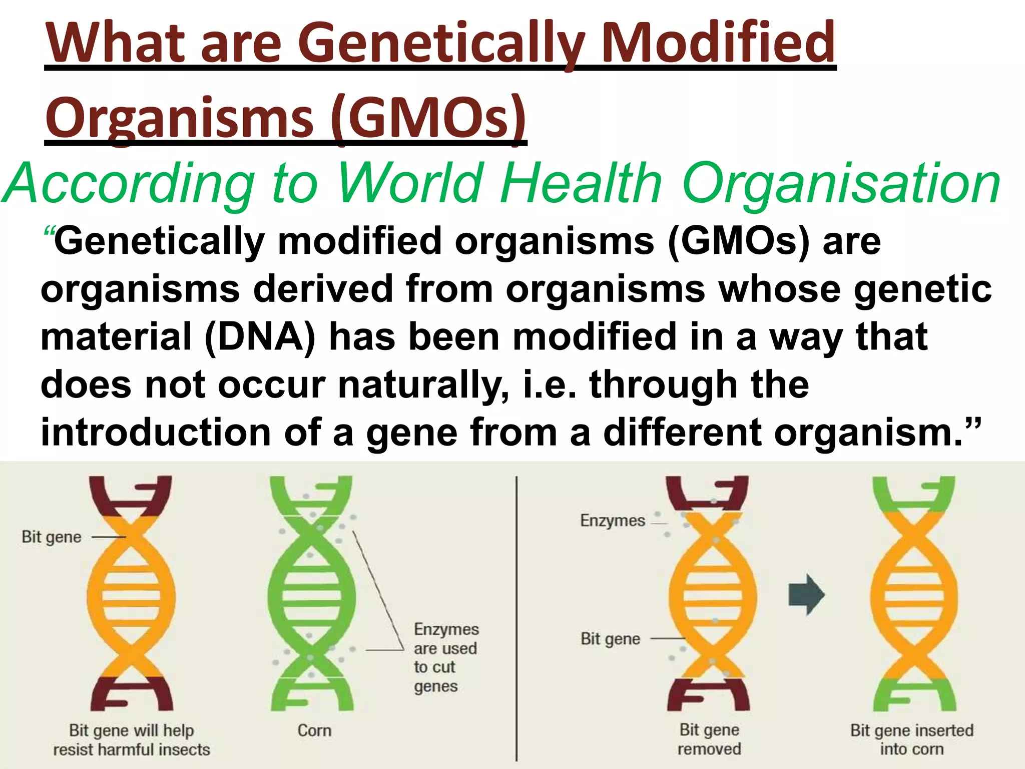 Genetically Modified Organisms | PPTX
