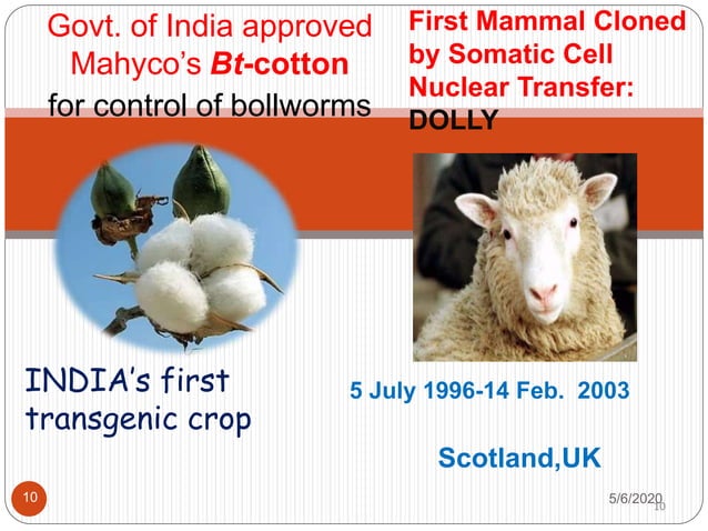 Genetically Modified Organisms | PPTX | Agriculture | Industries