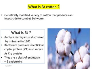 Genetically Modified Organisms | PPTX