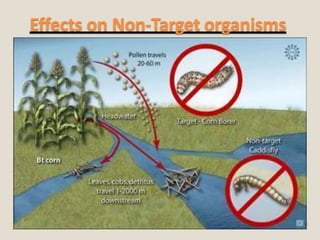 Genetically Modified Organisms | PPTX
