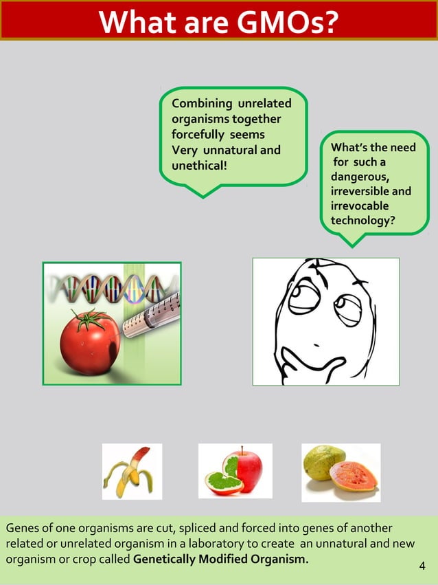 GMOs for dummies | PPT