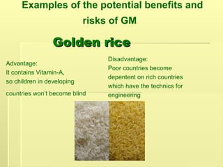 Genetically Modified Organisms (GMO's) | PPT