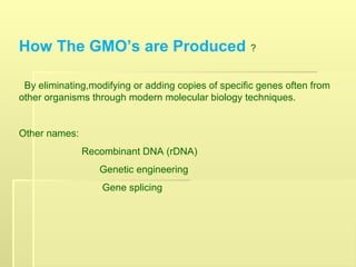 Genetically Modified Organisms (GMO's) | PPT