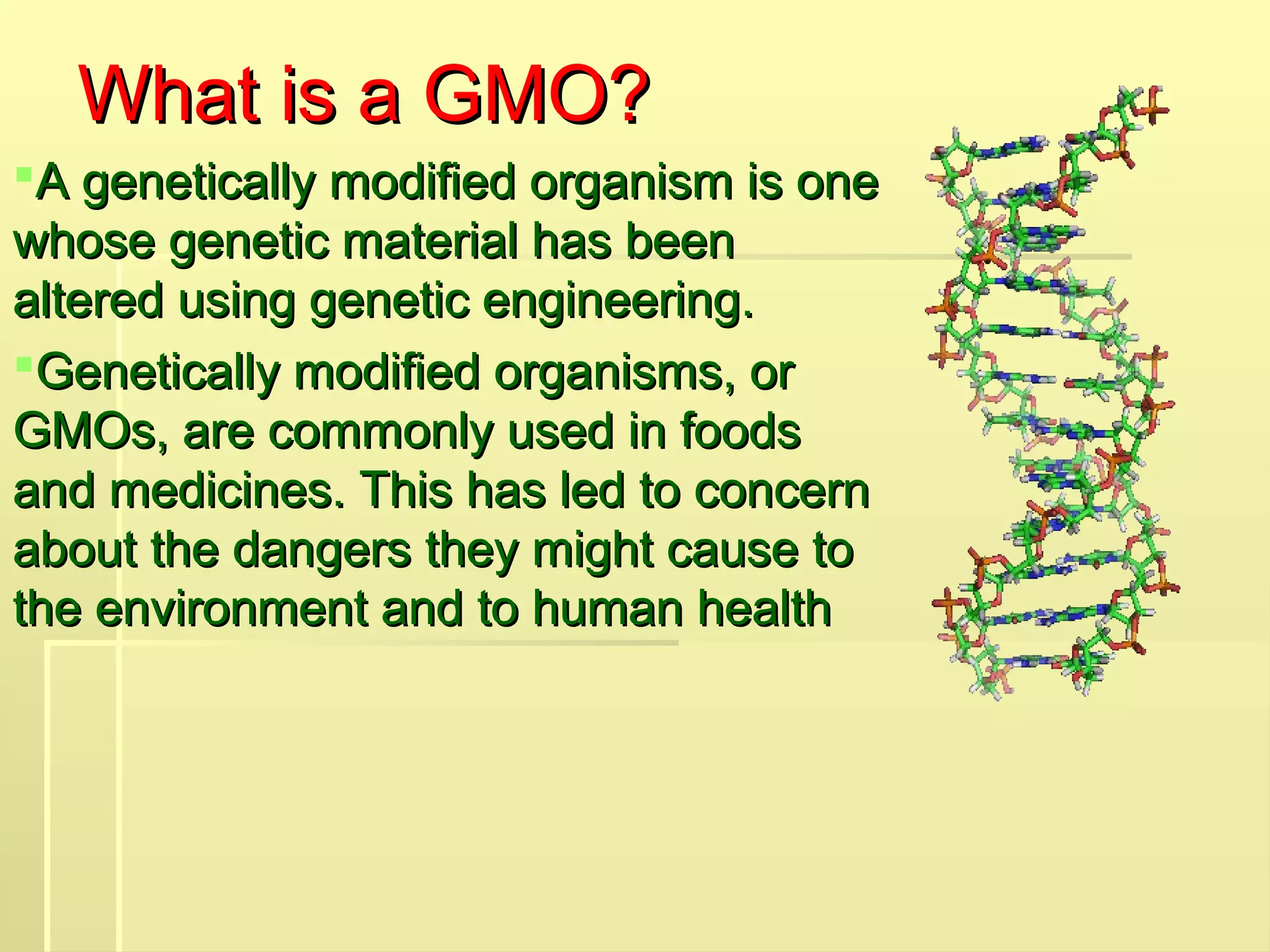 Gmo's ppt....... | PPT