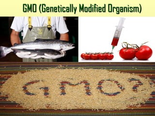 Gmo's ppt....... | PPT