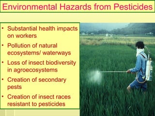 Gmo's ppt....... | PPT