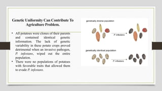 Genetically modified organisms PROS AnD CONS.pptx