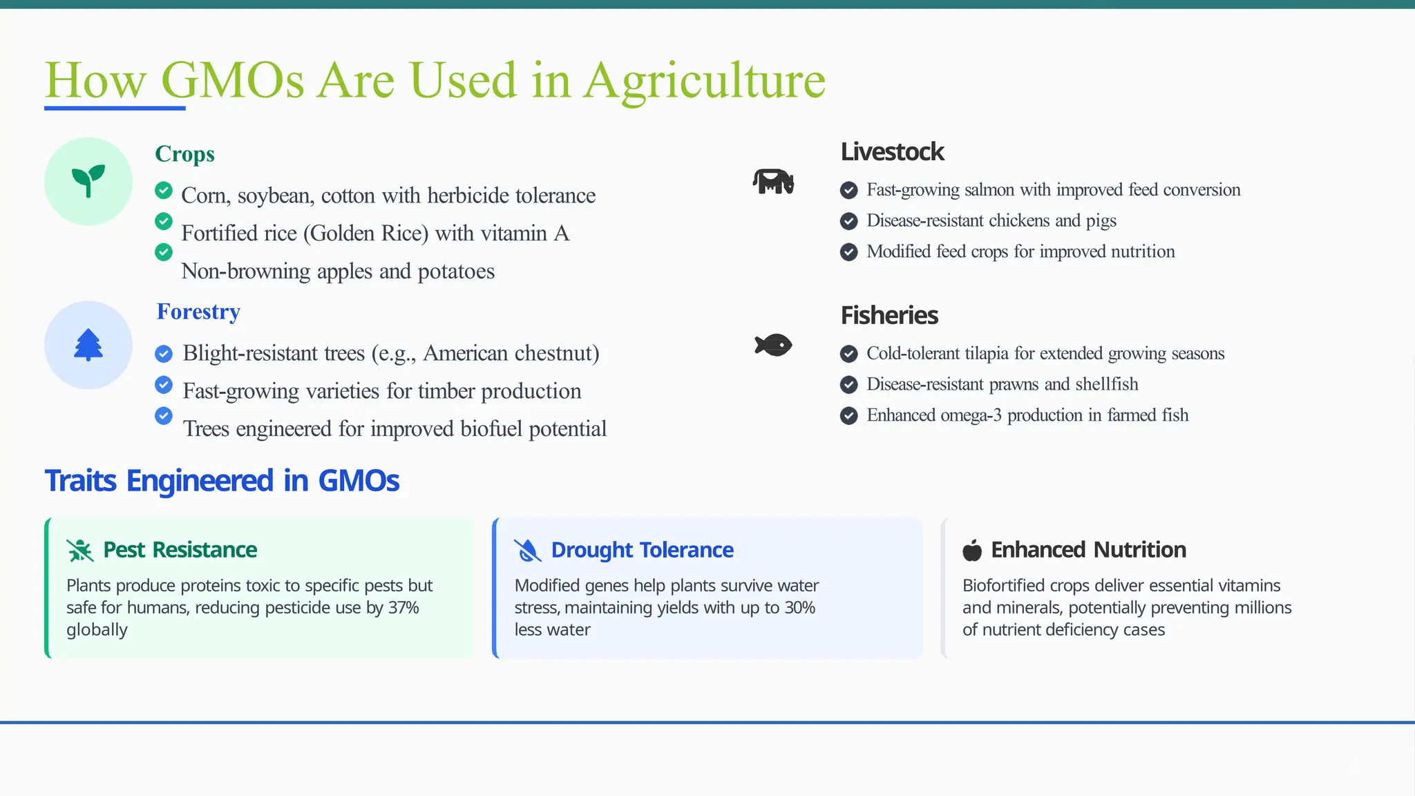 GMOs in Agriculture, Understanding their role, impact and future.pptx