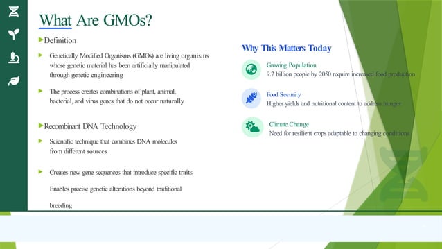 GMOs in Agriculture, Understanding their role, impact and future.pptx