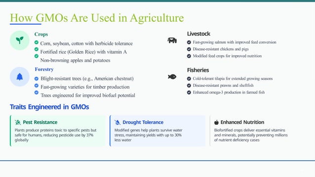 GMOs in Agriculture, Understanding their role, impact and future.pptx