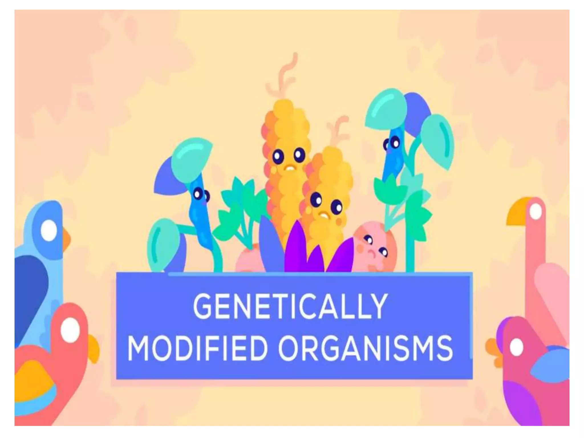 Gmos with animation gifs.pptx