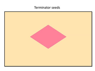 Gmos with animation gifs.pptx