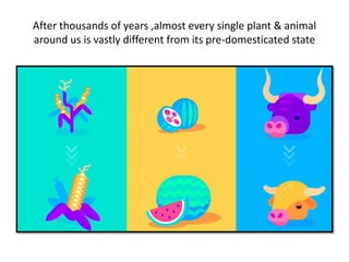 Gmos with animation gifs.pptx