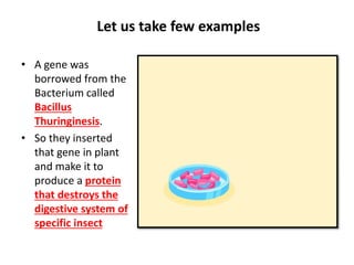 Gmos with animation gifs.pptx