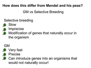 GMOs | PPT