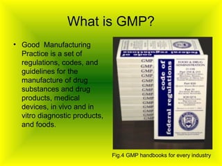 Gmp | PPT