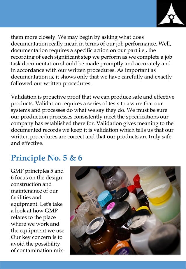 10 Principles of Good Manufacturing Practice (GMP) | PDF ...