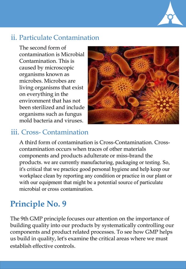 10 Principles of Good Manufacturing Practice (GMP) | PDF ...