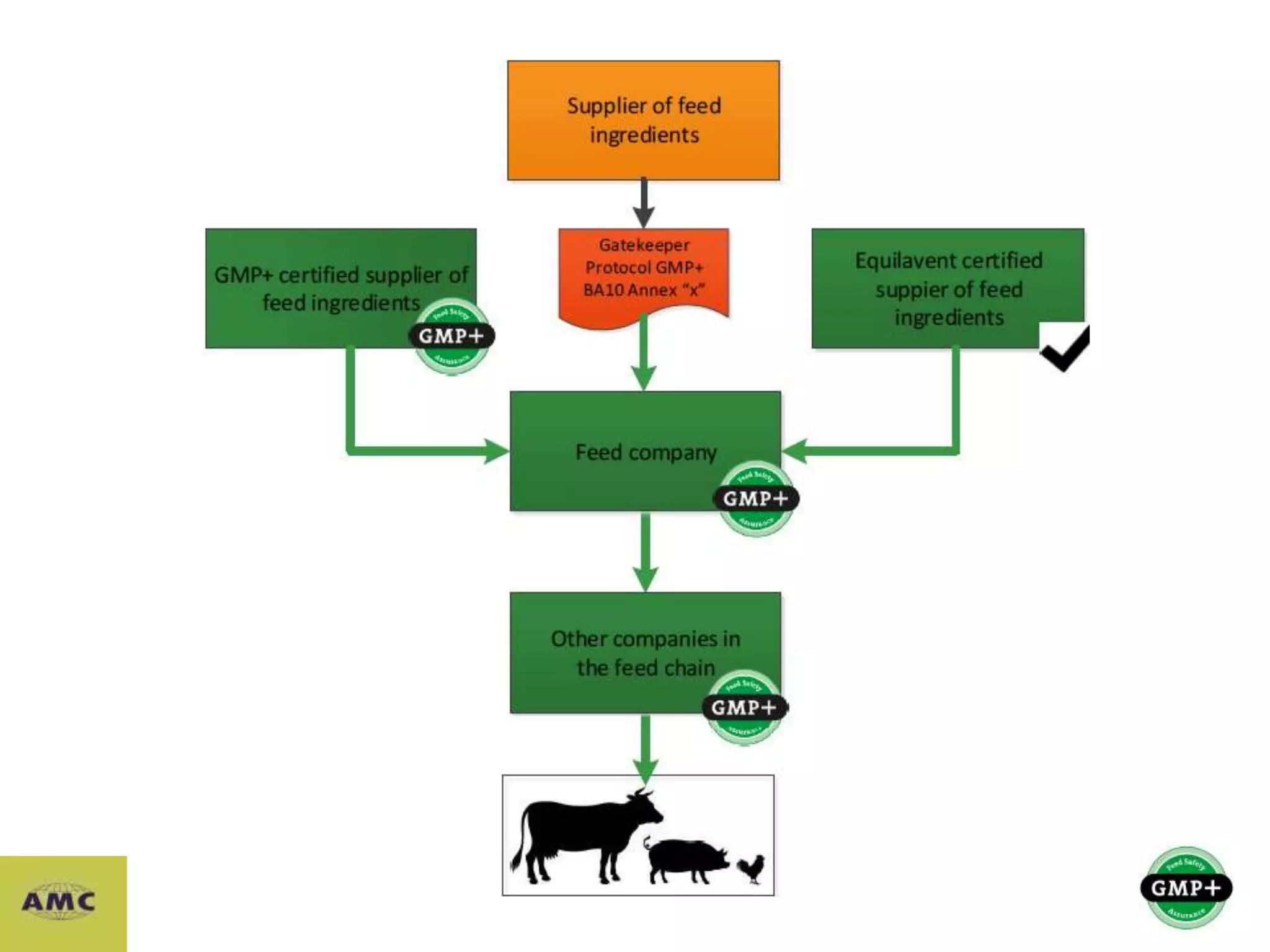 GMP + FSA -Animal feed safety through Global value chain approach | PPTX