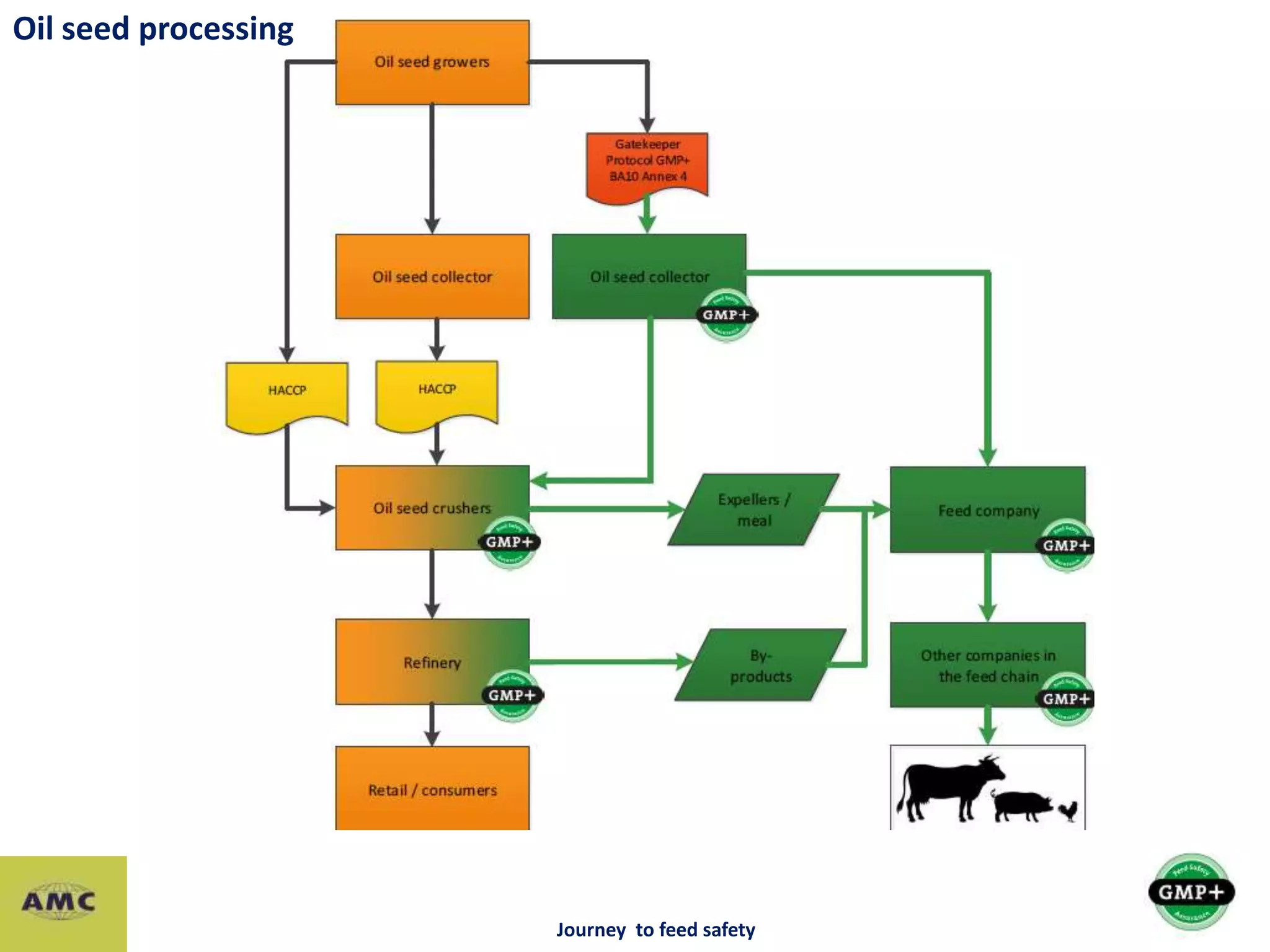 GMP + FSA -Animal feed safety through Global value chain approach | PPTX