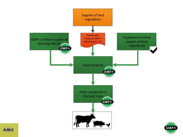 GMP + FSA -Animal feed safety through Global value chain approach | PPTX
