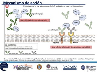 Sesión Académica del CRAIC "Guía Mexicana de Inmunoterapia GUIMIT 2019 ...