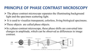phase contrast microscope in general MB. | PDF