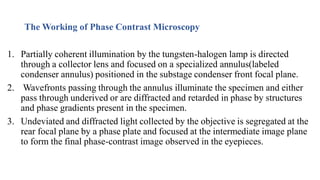 phase contrast microscope in general MB. | PDF