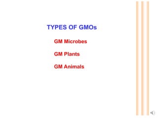 GM Plants boon or bane.pptx