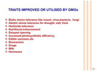 GM Plants boon or bane.pptx