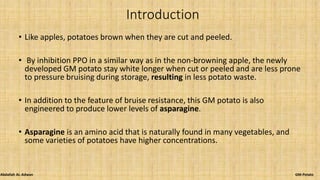Gm potato | PPTX