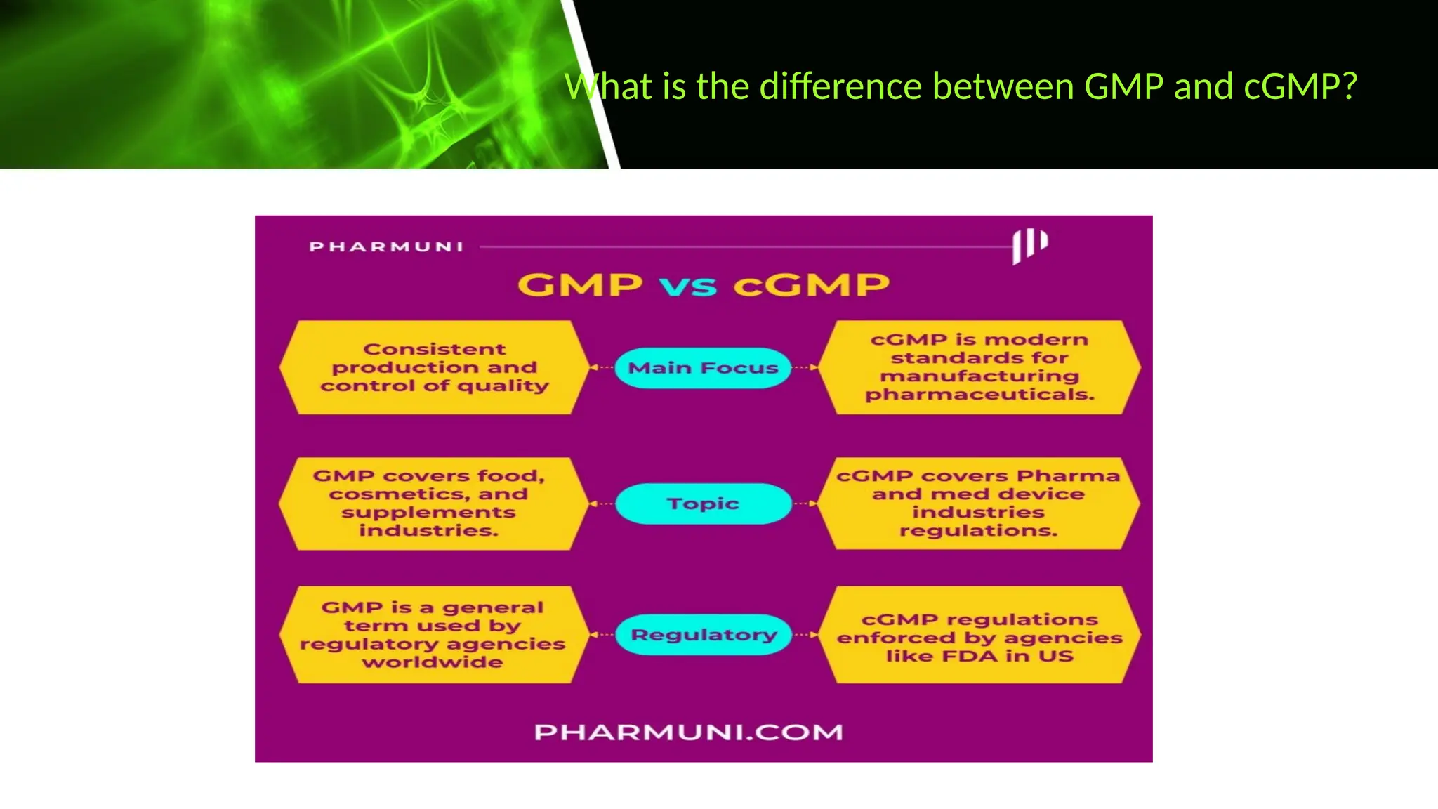 GOOD MANUFACTURING PRACTICES PPT-1.pptx