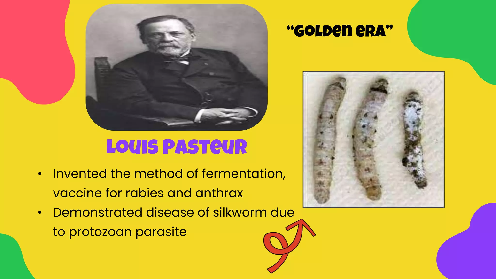 History And Developments In Microbiology | PPTX