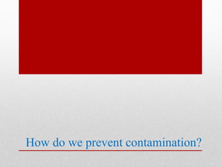 GMPs - Good Manufacturing Practices.pptx