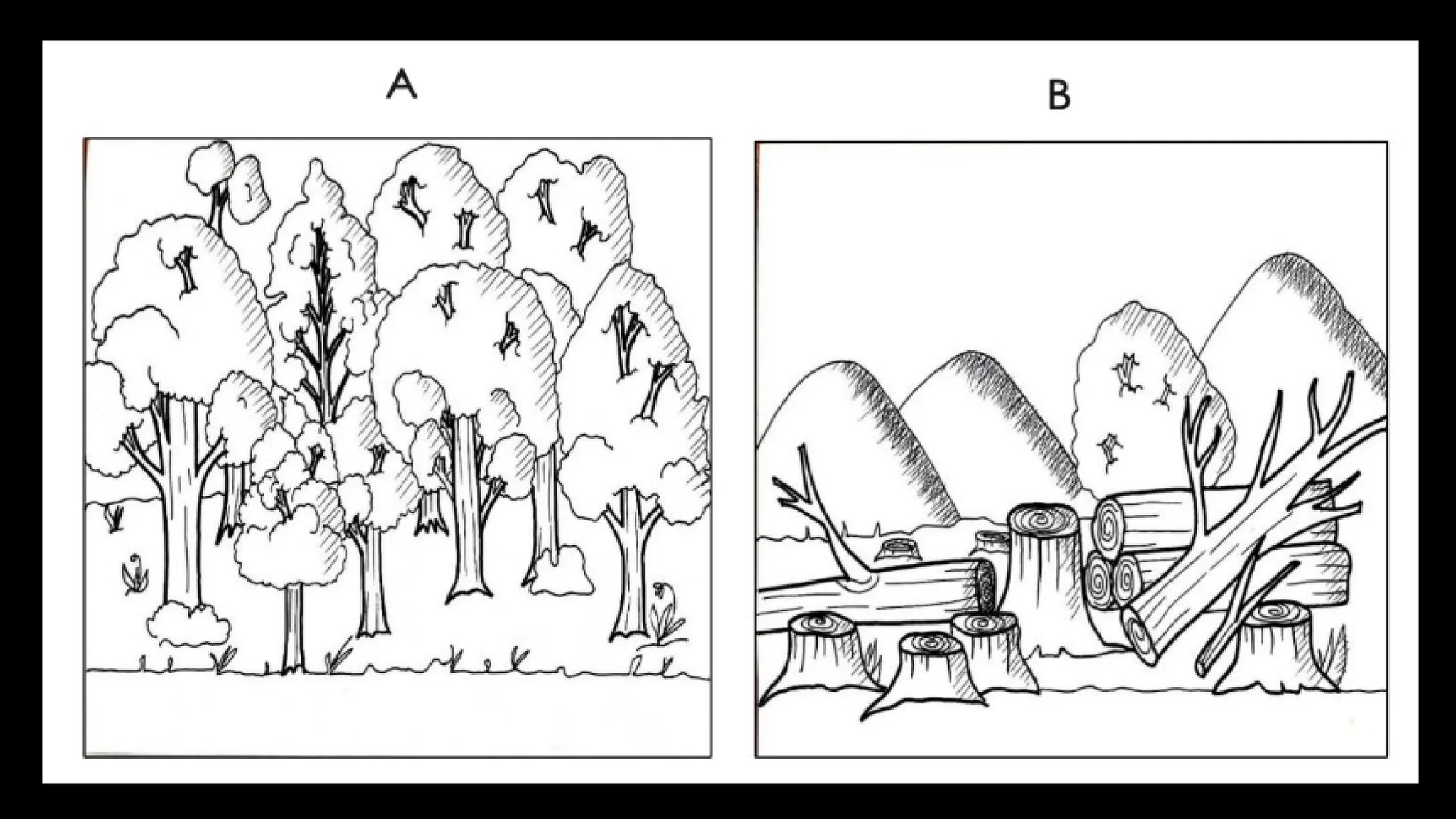 GMRC_PPT_WK1.pptx Grade 1 Matatag Curriculum | PPTX