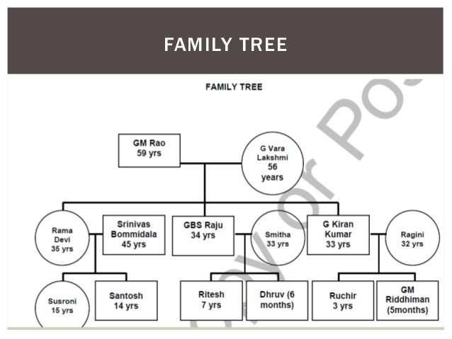 Gmr group family business ppt