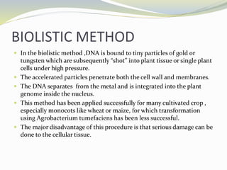 Genetic modification through recombination breeding j.d | PPTX