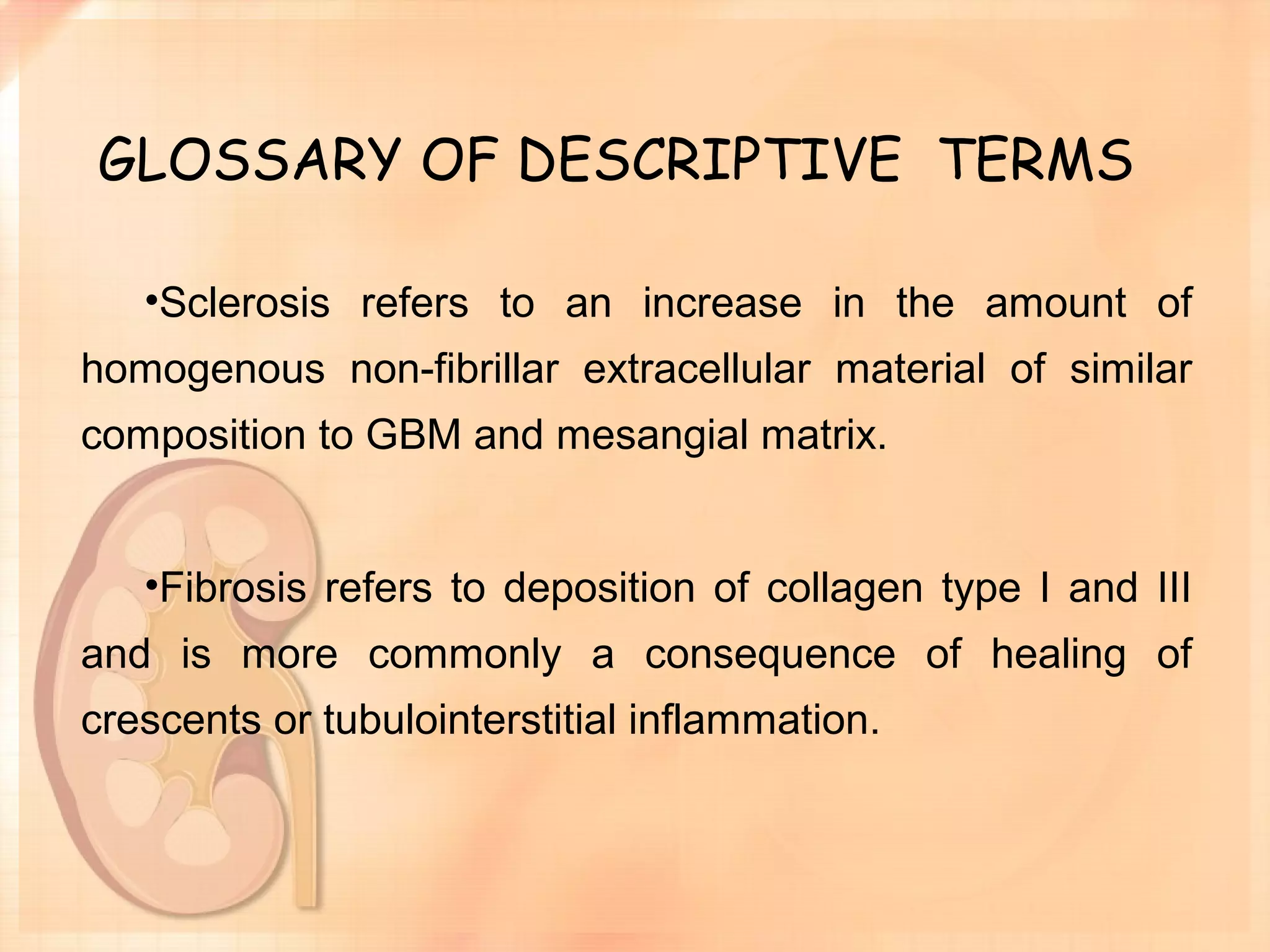 Pathogenesis of Glomerulonephritis | PPT