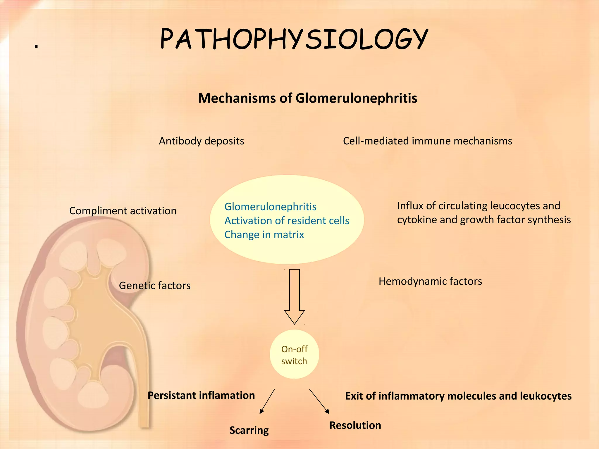 Pathogenesis of Glomerulonephritis | PPT