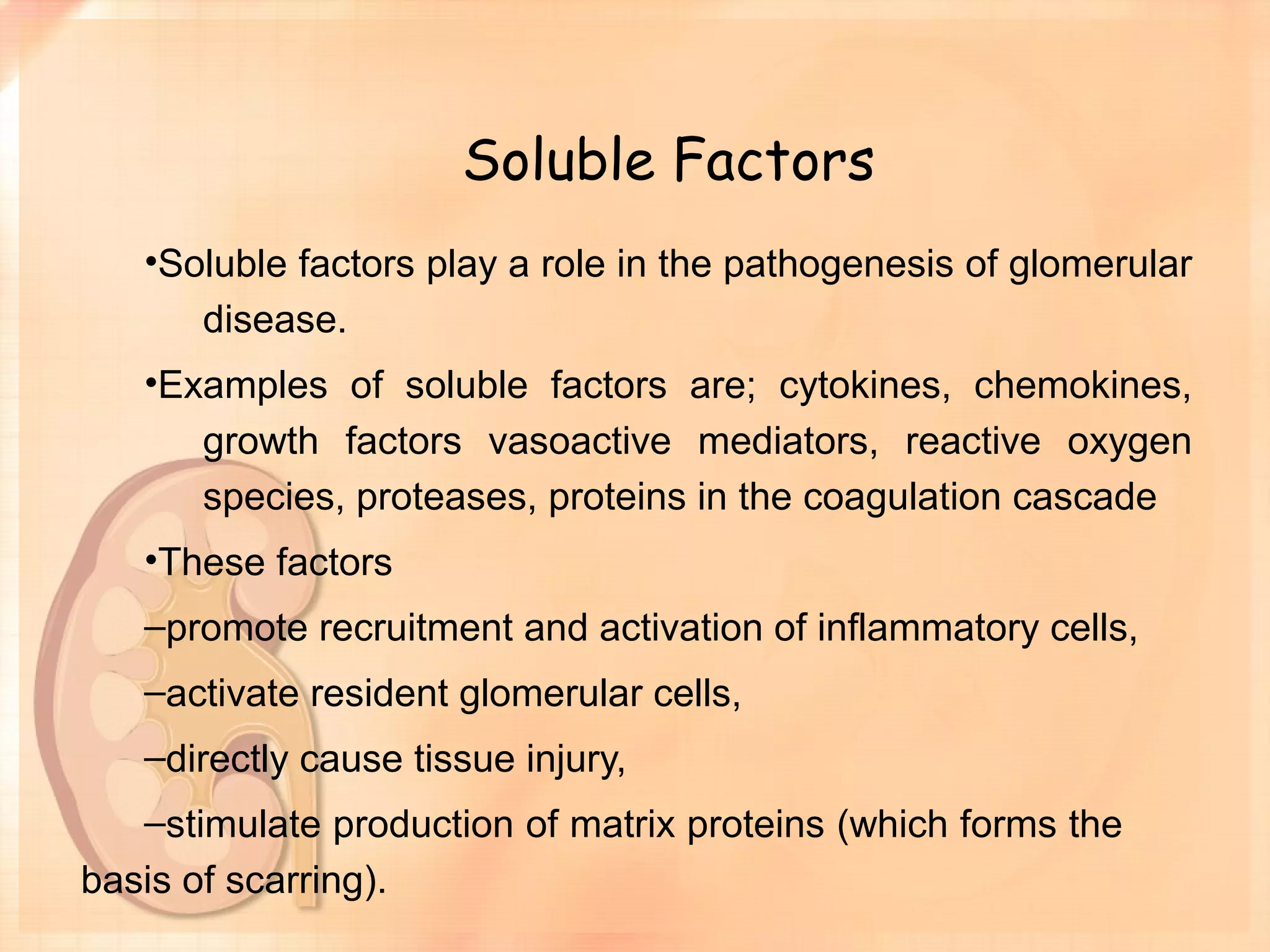 Pathogenesis of Glomerulonephritis | PPT