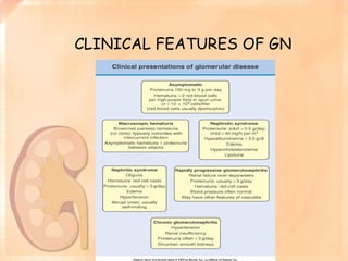 Pathogenesis of Glomerulonephritis | PPT