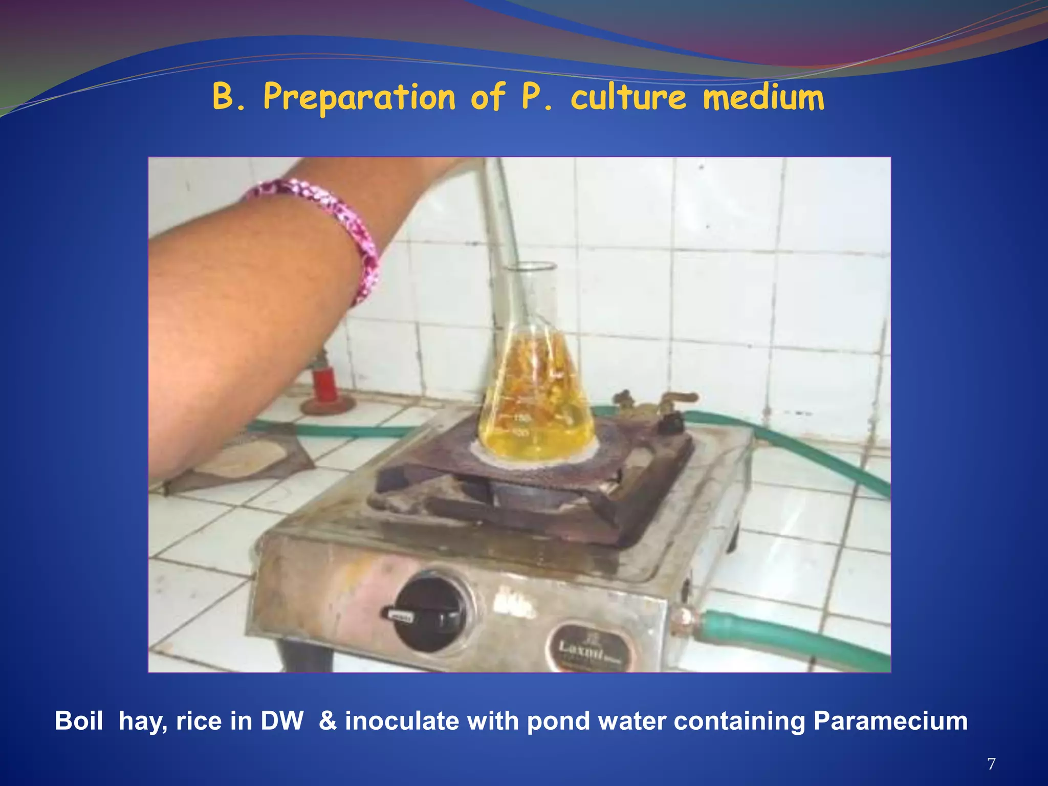 Simple and innovative experiments on Paramecium | PPTX