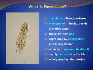 Simple and innovative experiments on Paramecium | PPTX
