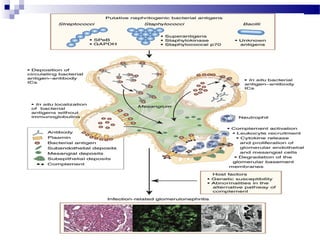 Gnaps farmasi 2017 | PPT