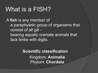 Fish | PPTX