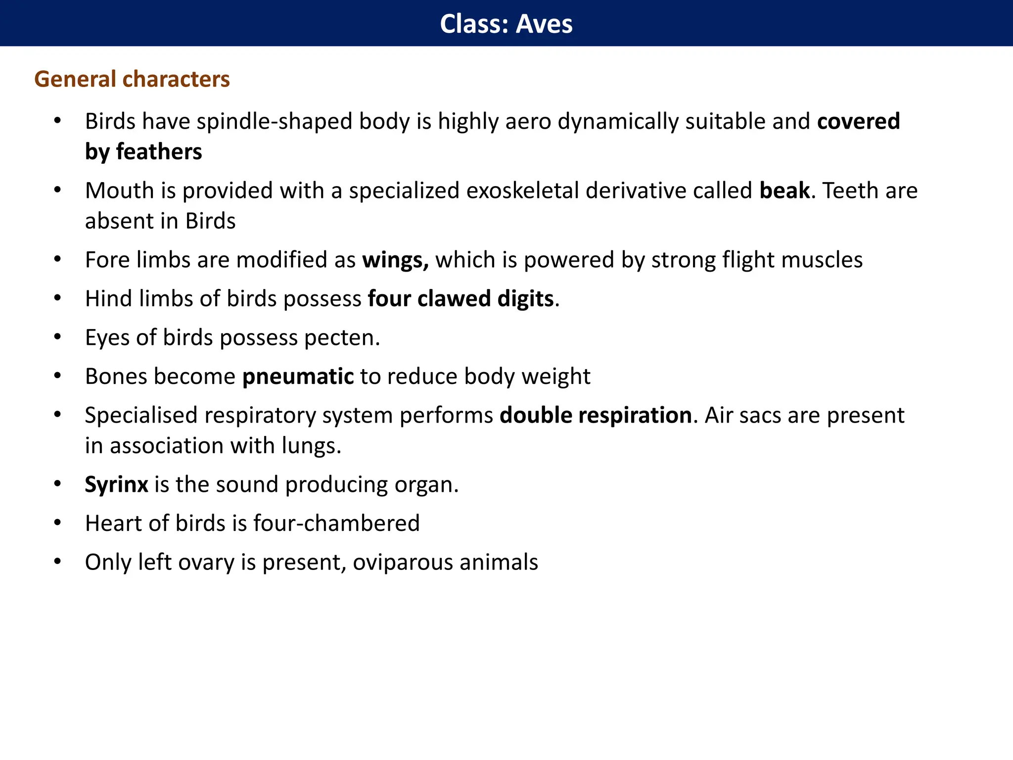 Gnathostomata.pptx. with general characters & classification for bsc ...