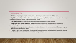 GNB micro gpc and gnb bacteria ppt slide | PDF