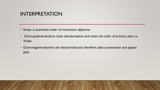 GNB micro gpc and gnb bacteria ppt slide | PDF