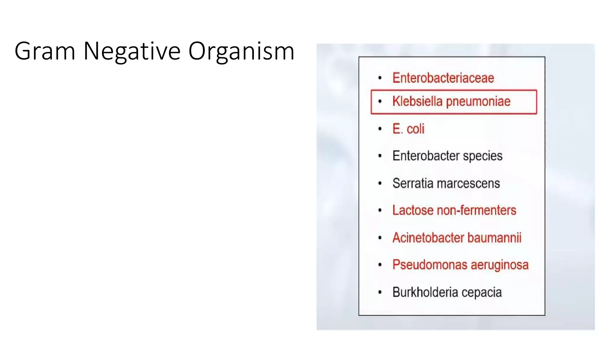 GNB resistance and choice of antibiotics.pptx